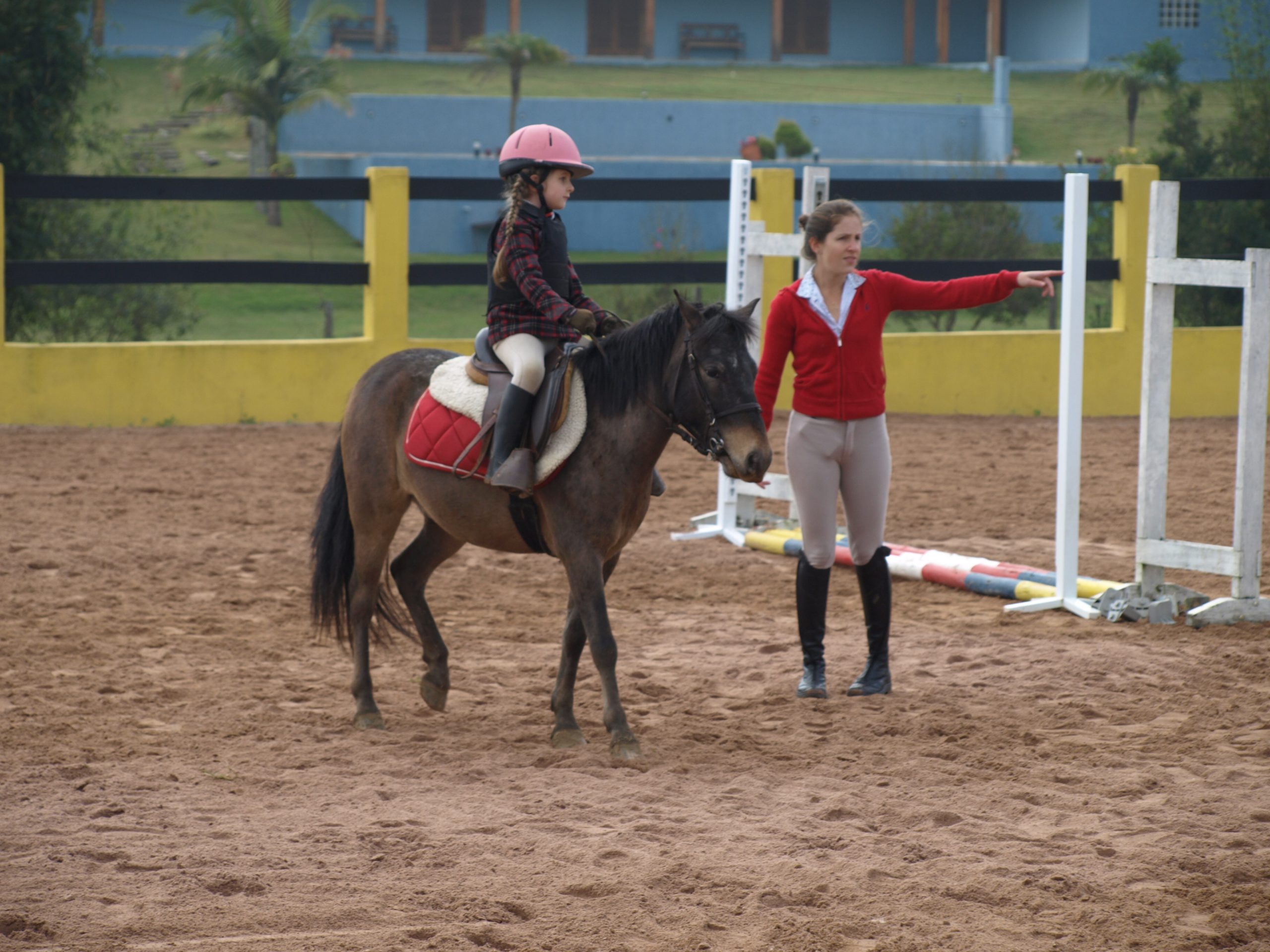 Aulas de hipismo equitação montaria - Clube do Hipismo